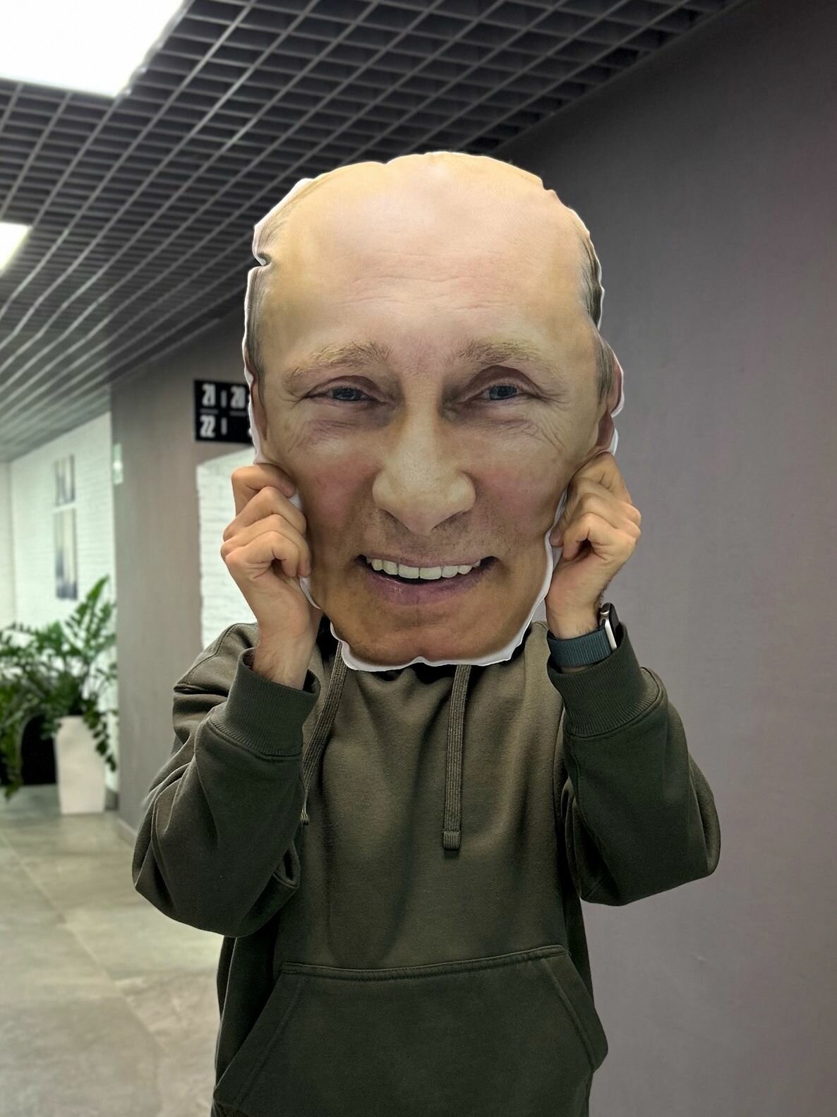 Путин Подушка Голова