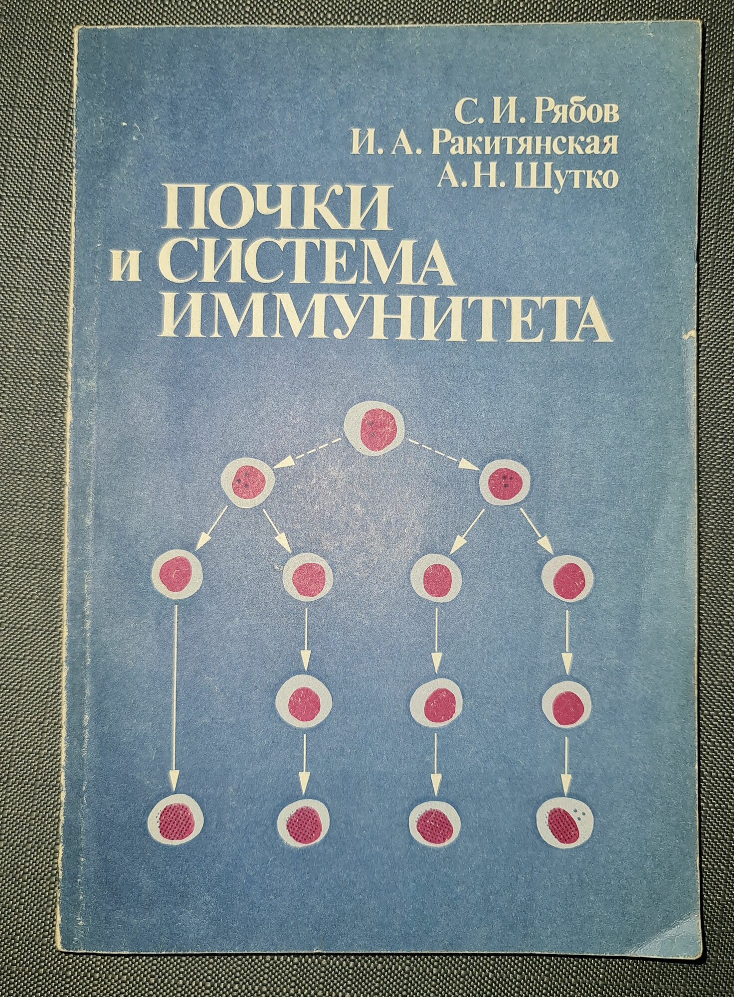 Рябов С, Ракитянская И, Шутко Н. - Почки и система иммунитета, редкая книга СССР, 1989