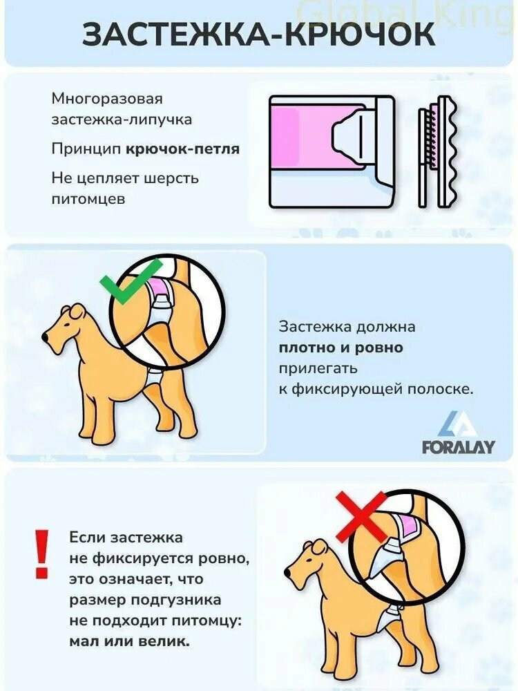 Подгузники для животных — фото 1
