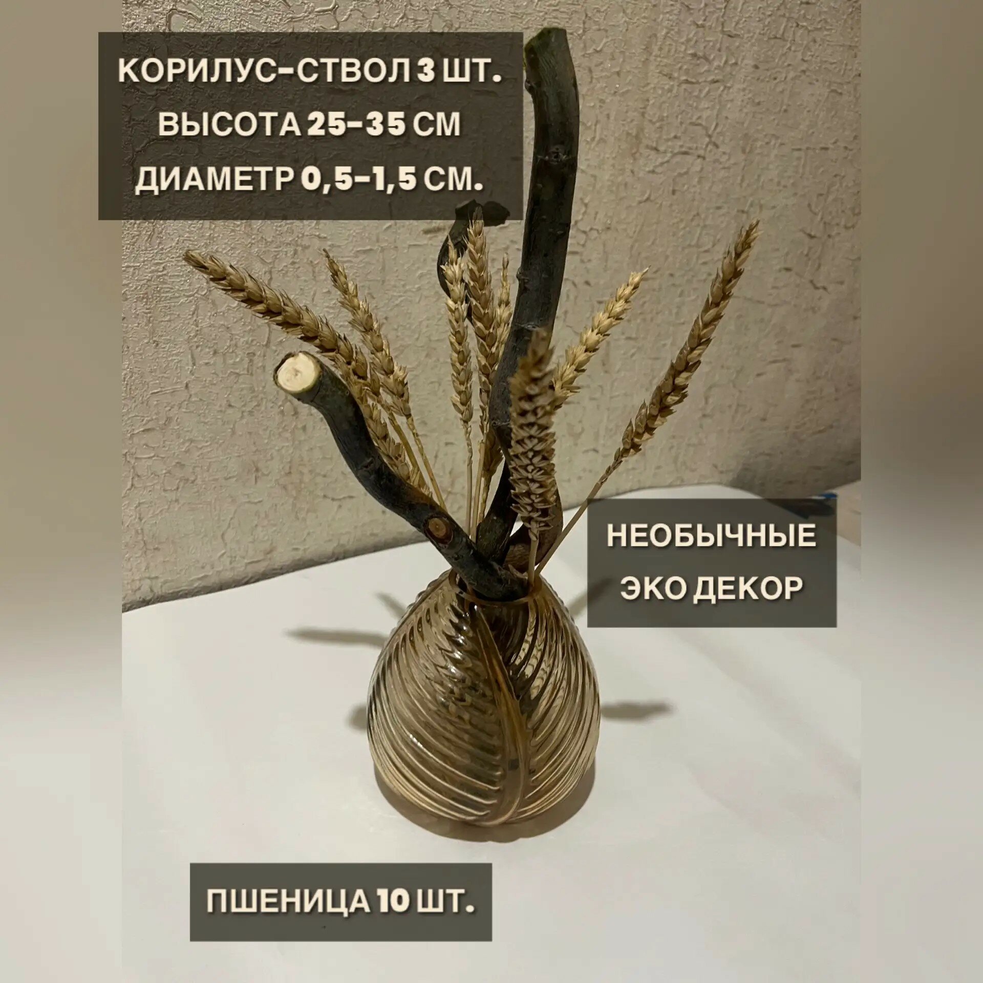 Корилус-ствол 3 сухих натуральных извилистых веток, высота 25-35 см. плюс колоски пшеницы 10шт.
