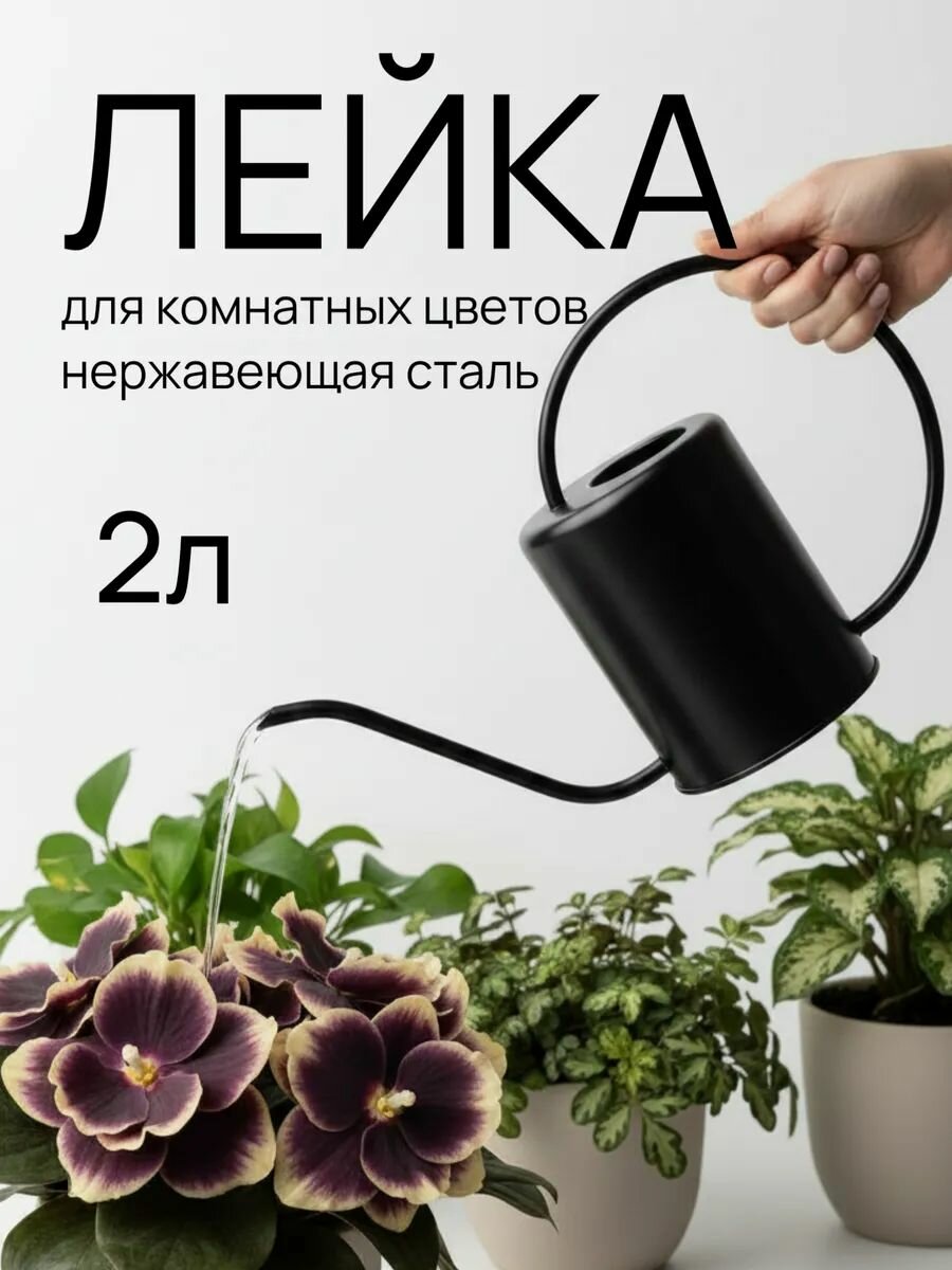 Лейка для цветов 2 л, без рассеивателя, нержавеющая сталь, белый