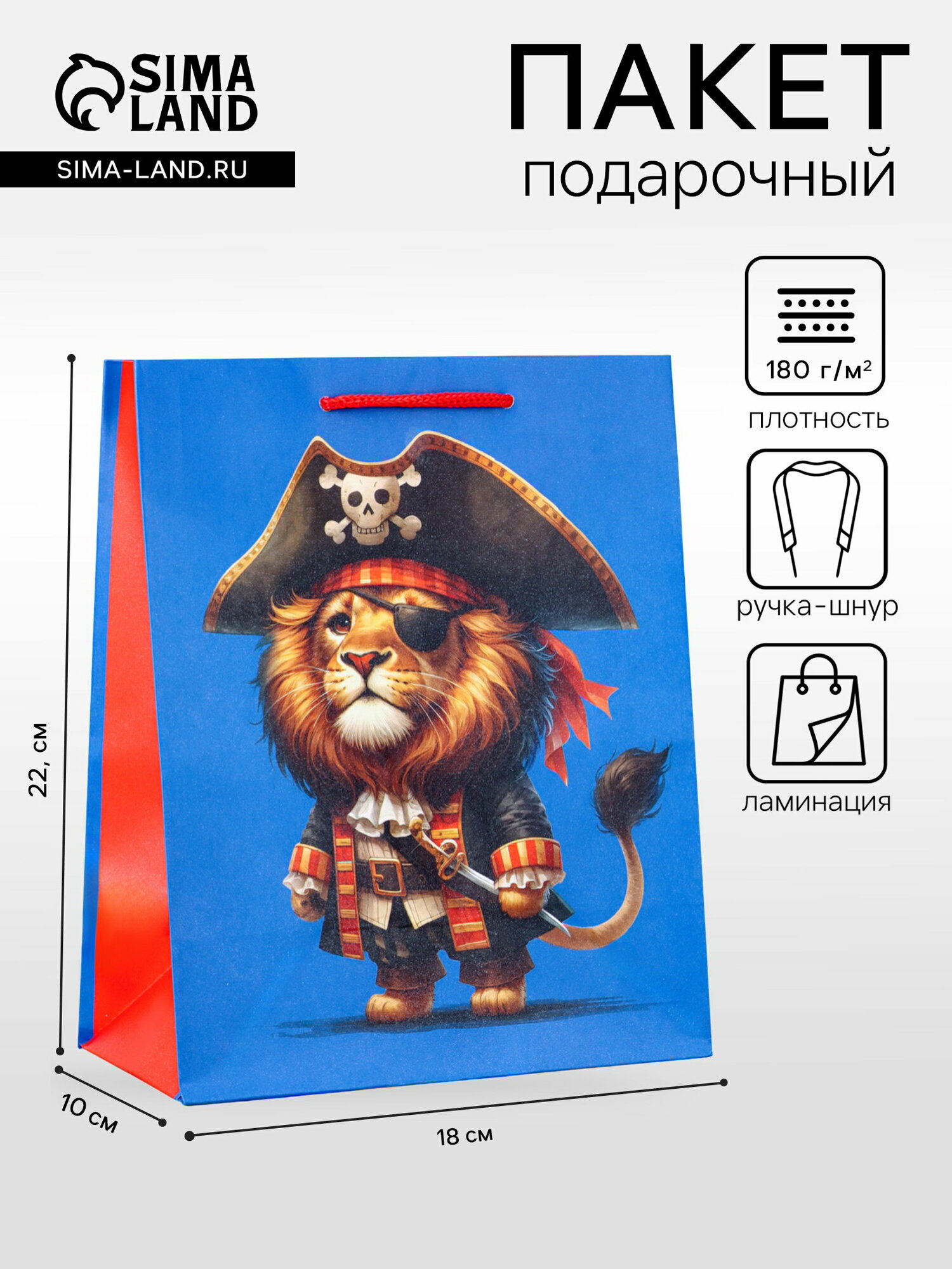 Пакет подарочный ламинированный "Пират" 18x22.3x10 см, вид: бумажный пакет, 2 шт.