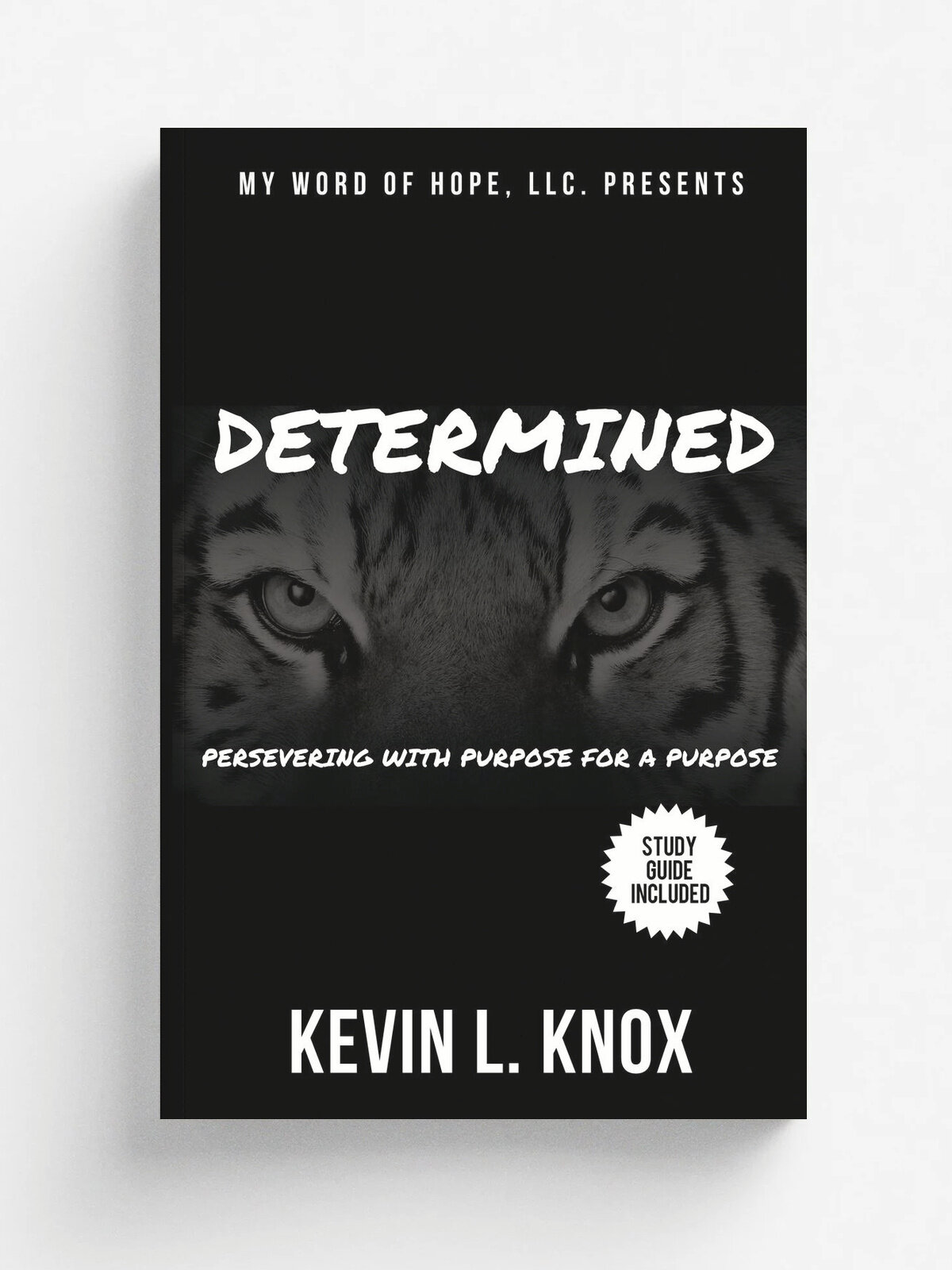 Determined. Persevering with Purpose for a Purpose