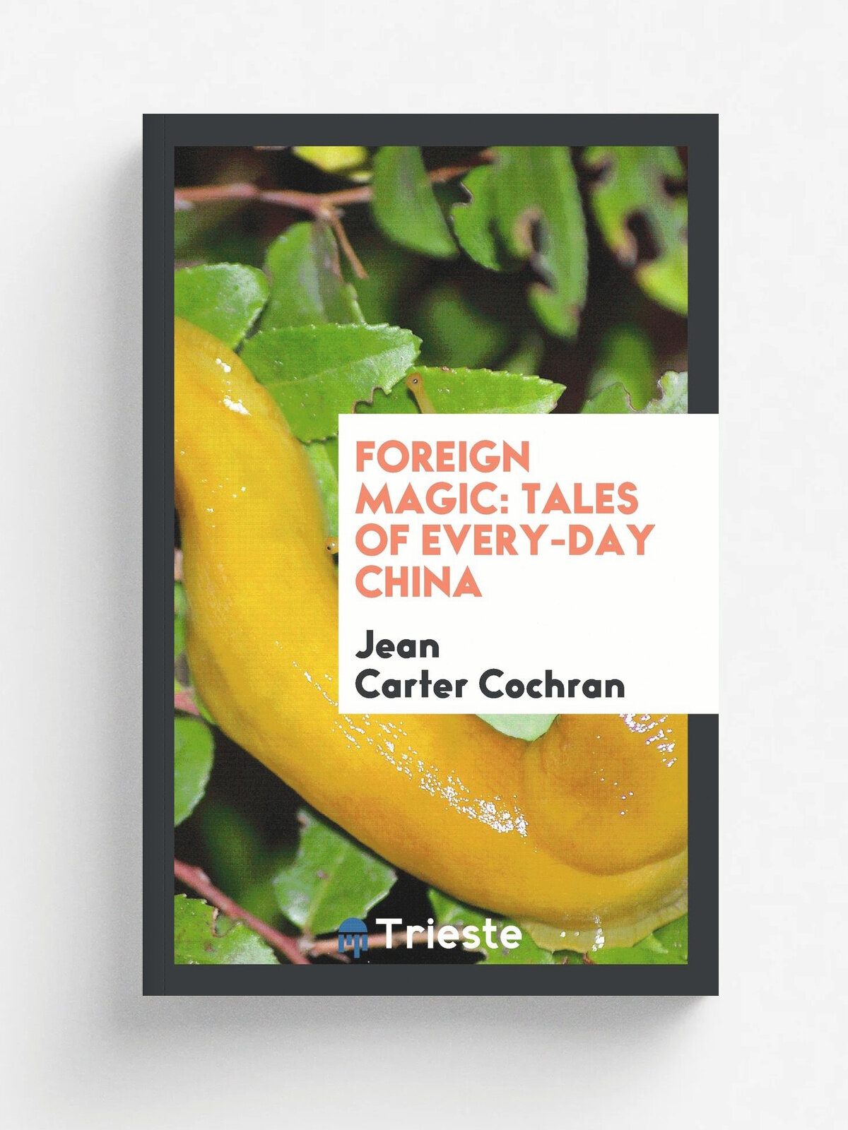 Foreign magic. tales of every-day China