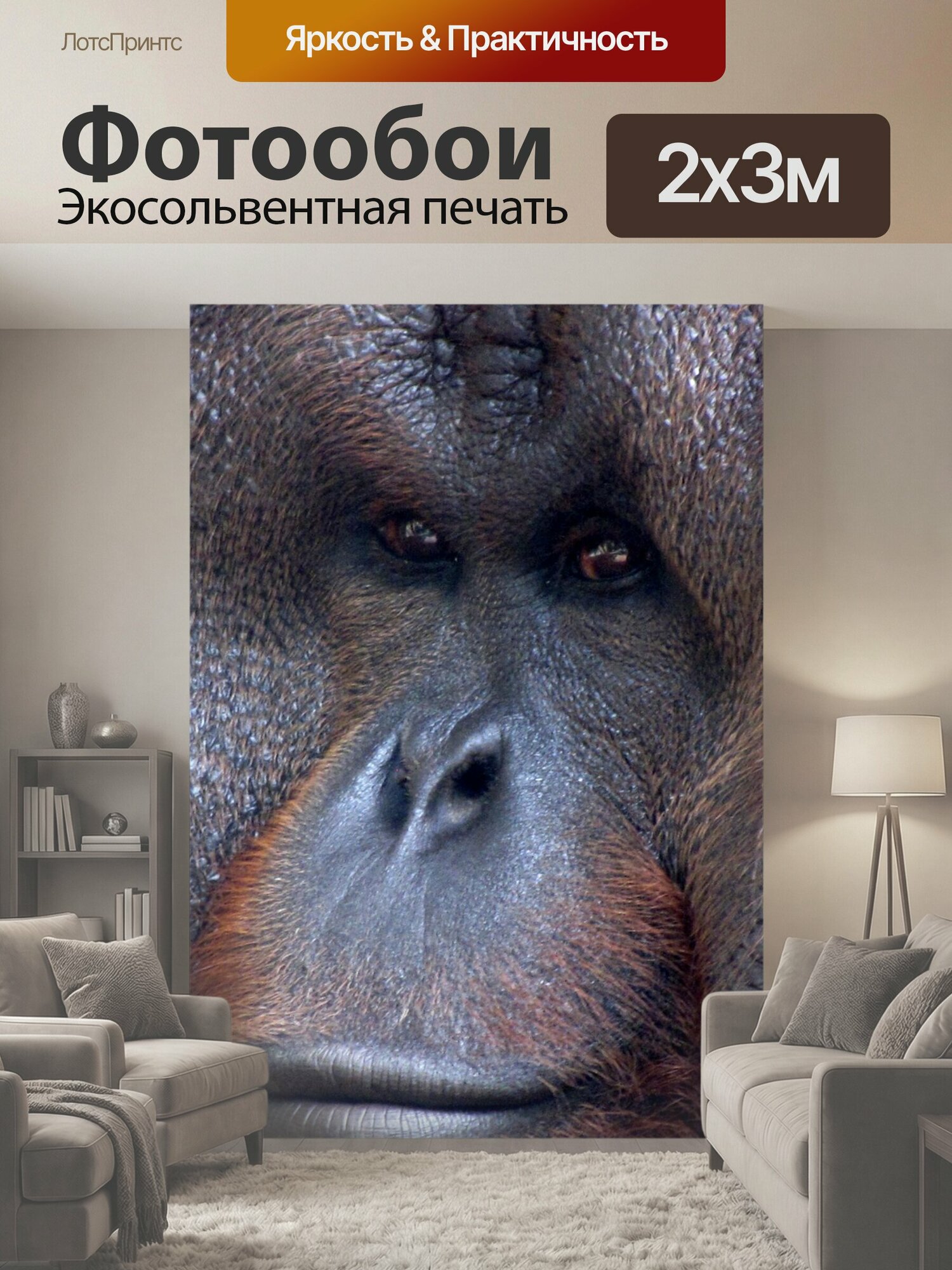 Фотообои "Горилла, примат, обезьяна" 200x300 см. экосольвентная печать