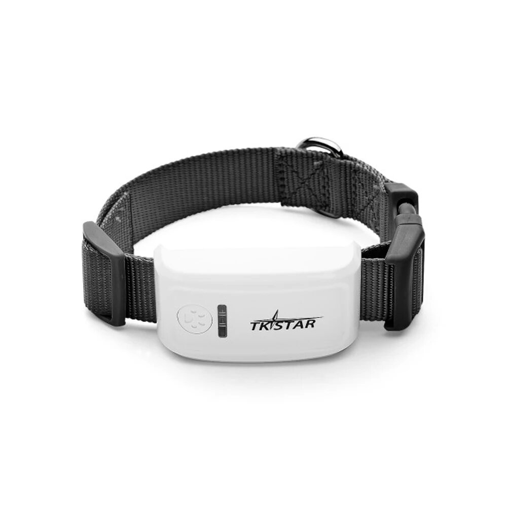 2G GSM GPS-трекер Pet TK909 GPS-локатор TKSTAR Мини GPS-трекер для домашних животных 2G GSM Лучший GPS-трекер для собак с бесплатным приложением Водонепроницаемый IP67 NO BOX