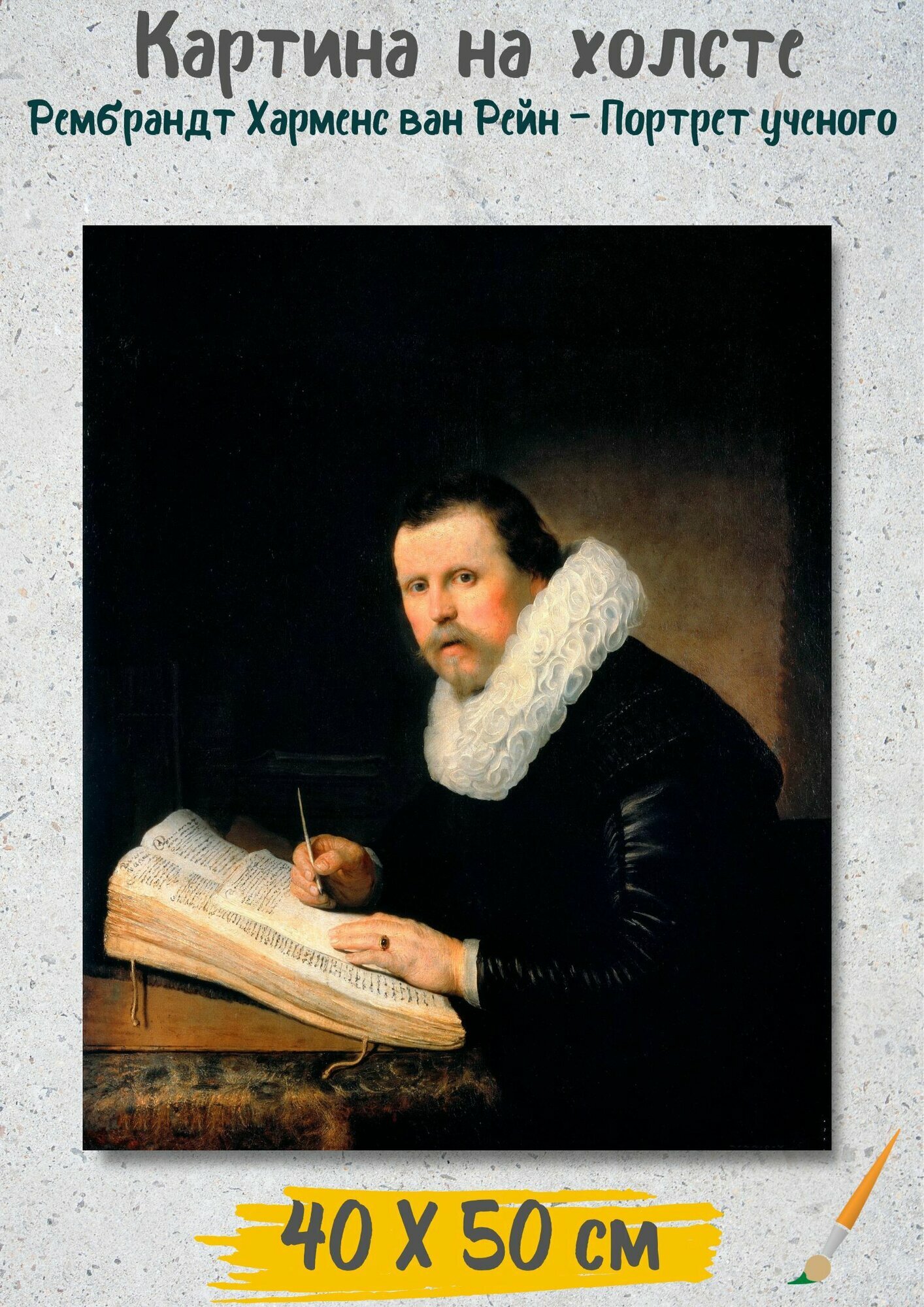 Картина Рембрандт Харменс ван Рейн "Портрет ученого" 50х40