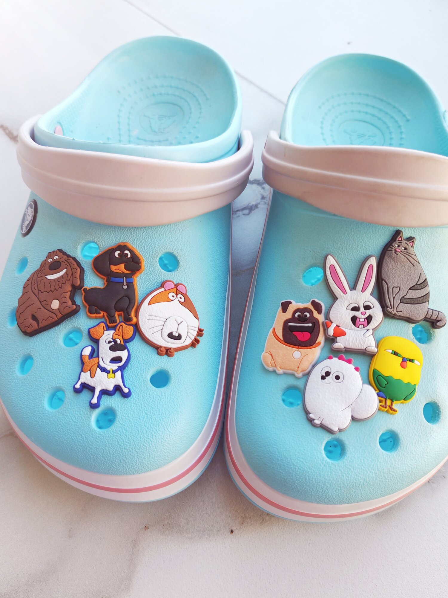 Джибитсы для crocs Тайная жизнь домашних животных 9 шт