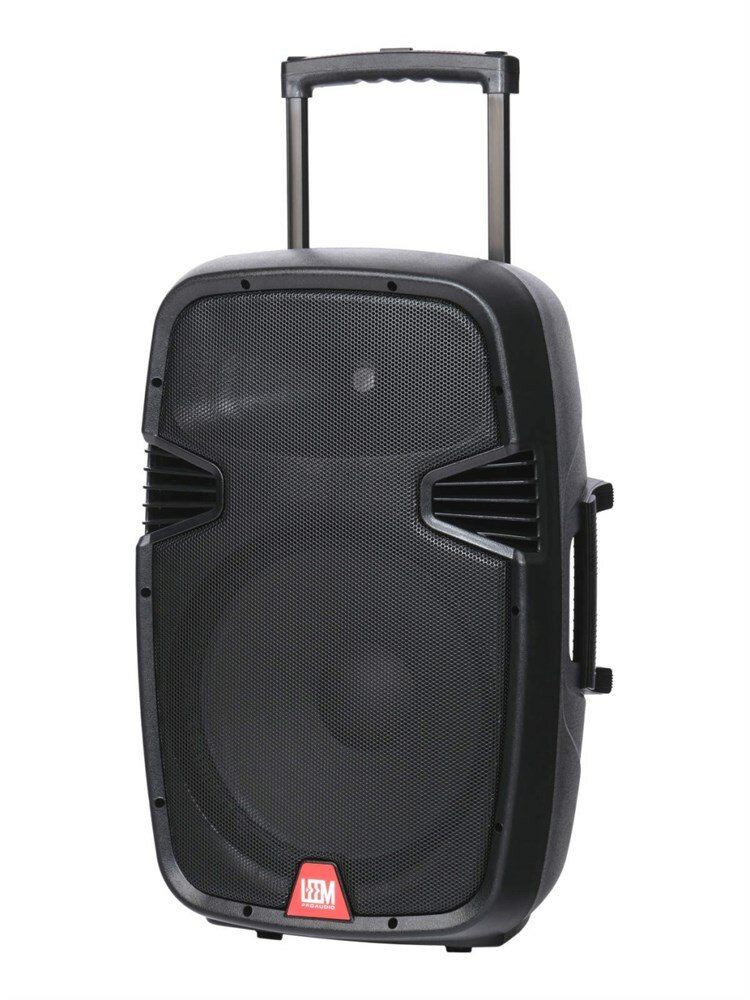 Leem PR-15HR Акустическая система с 2 микрофонами, аккумуляторная, 140Вт