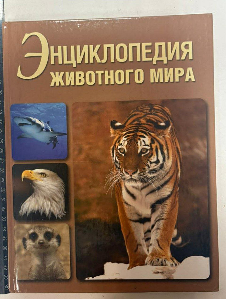 Энциклопедия животного мира