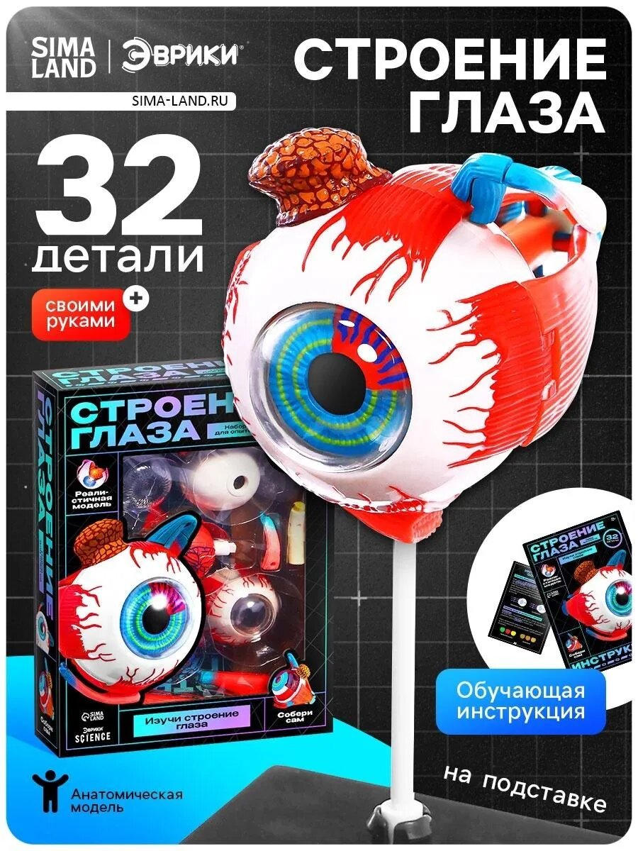 Набор для опытов строение глаза, анатомическая модель