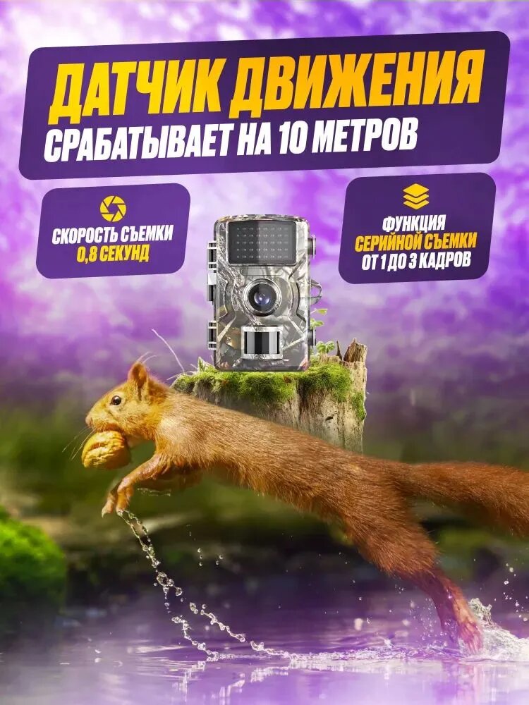 Фотоловушка — фото 1