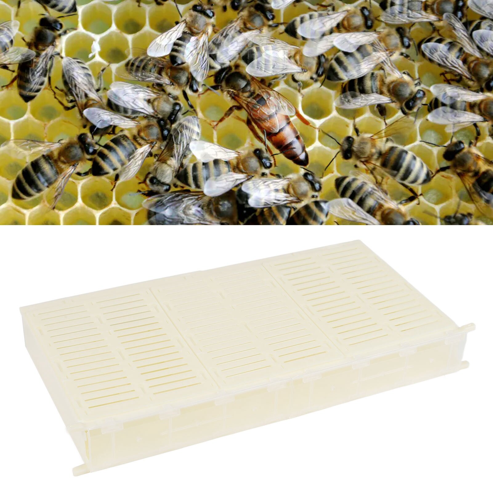 Контроллер для нереста маток, однорамочный пластиковый ящик для нереста пчел, ящик для пчеловодства