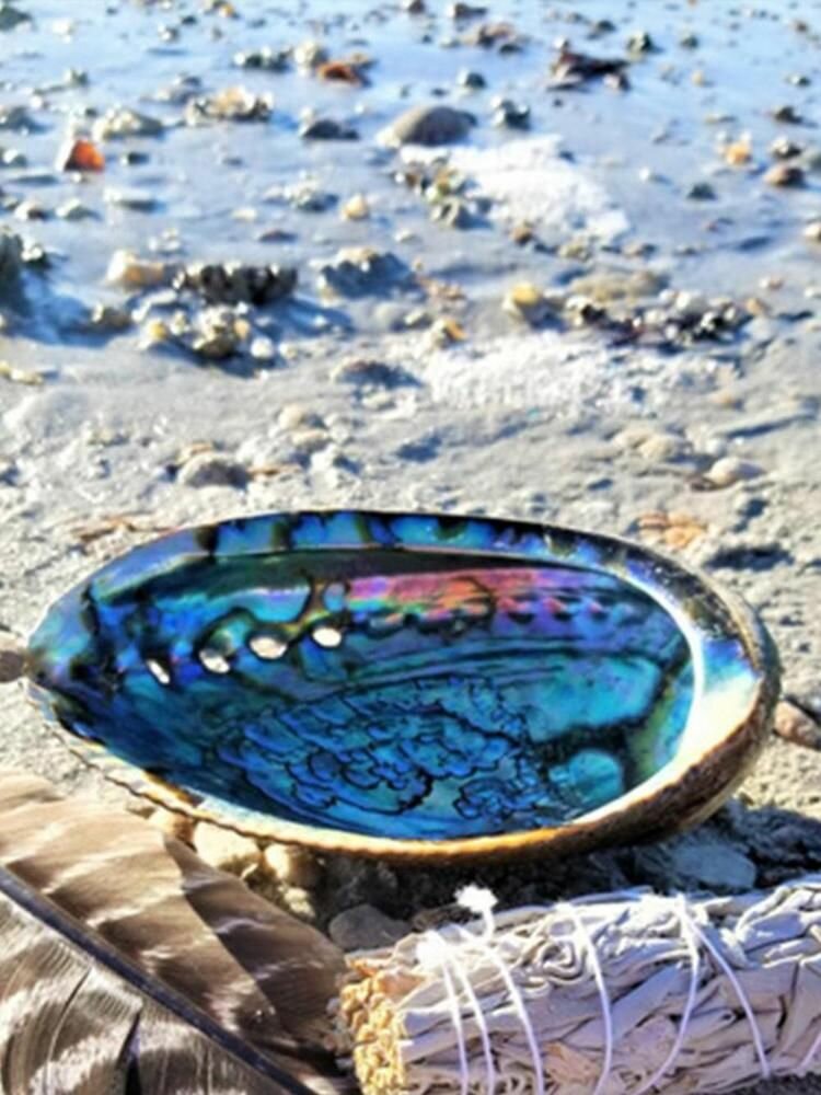 Натуральная раковина морского ушка, оригинальный цвет, ракушка, раковина, украшение для аквариума,9-10 см