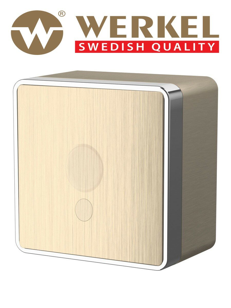 Накладной вывод кабеля Werkel Gallant WL15-16-01, цвет шампань рифленый