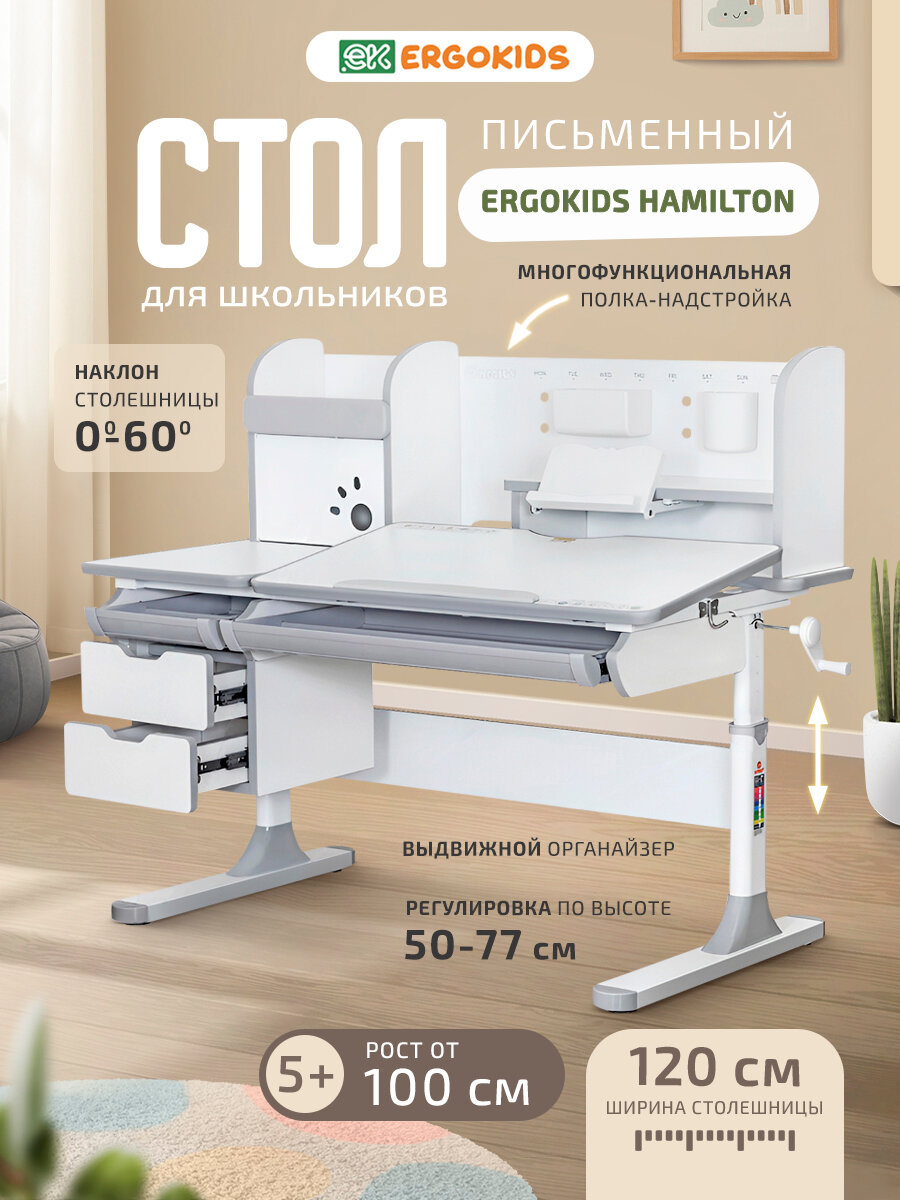Детская растущая парта компьютерная Ergokids Hamilton Multi (BD-680) серая