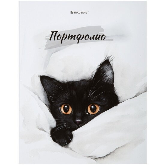 Папка-портфолио Brauberg универсальная, 4 кольца, 20 файлов, 7БЦ матовая, "Cat", 107557, 117557
