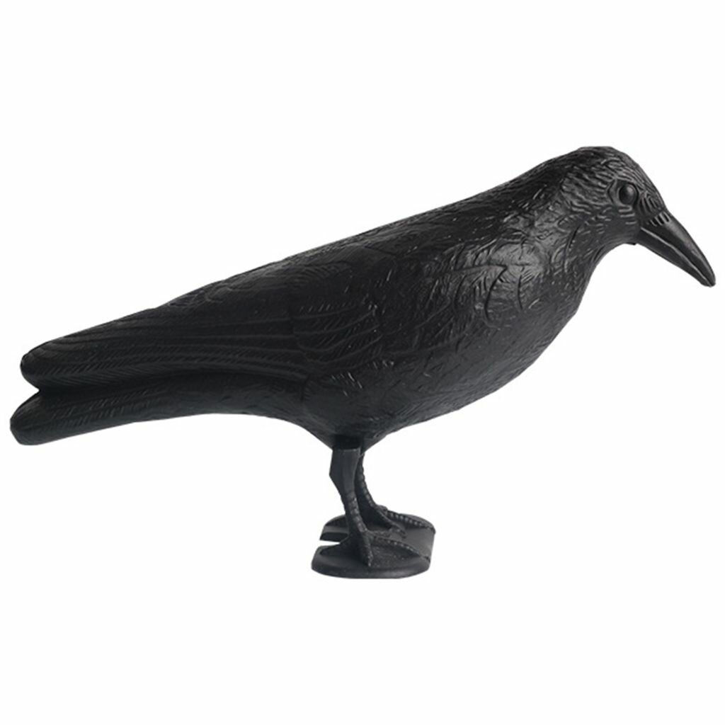 (1) Бионическая приманка для ворон