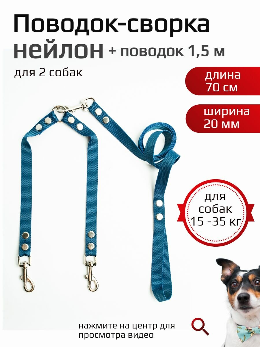 Сворка Хвостатыч для двух собак нейлон 70 см х 20 мм с поводком 1.5 м (темно-синий)
