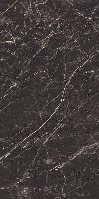 Керамогранит Laparet Black Arkadia черный полированный 60x120 см черный для ванной комнаты, для кухни Беларусь