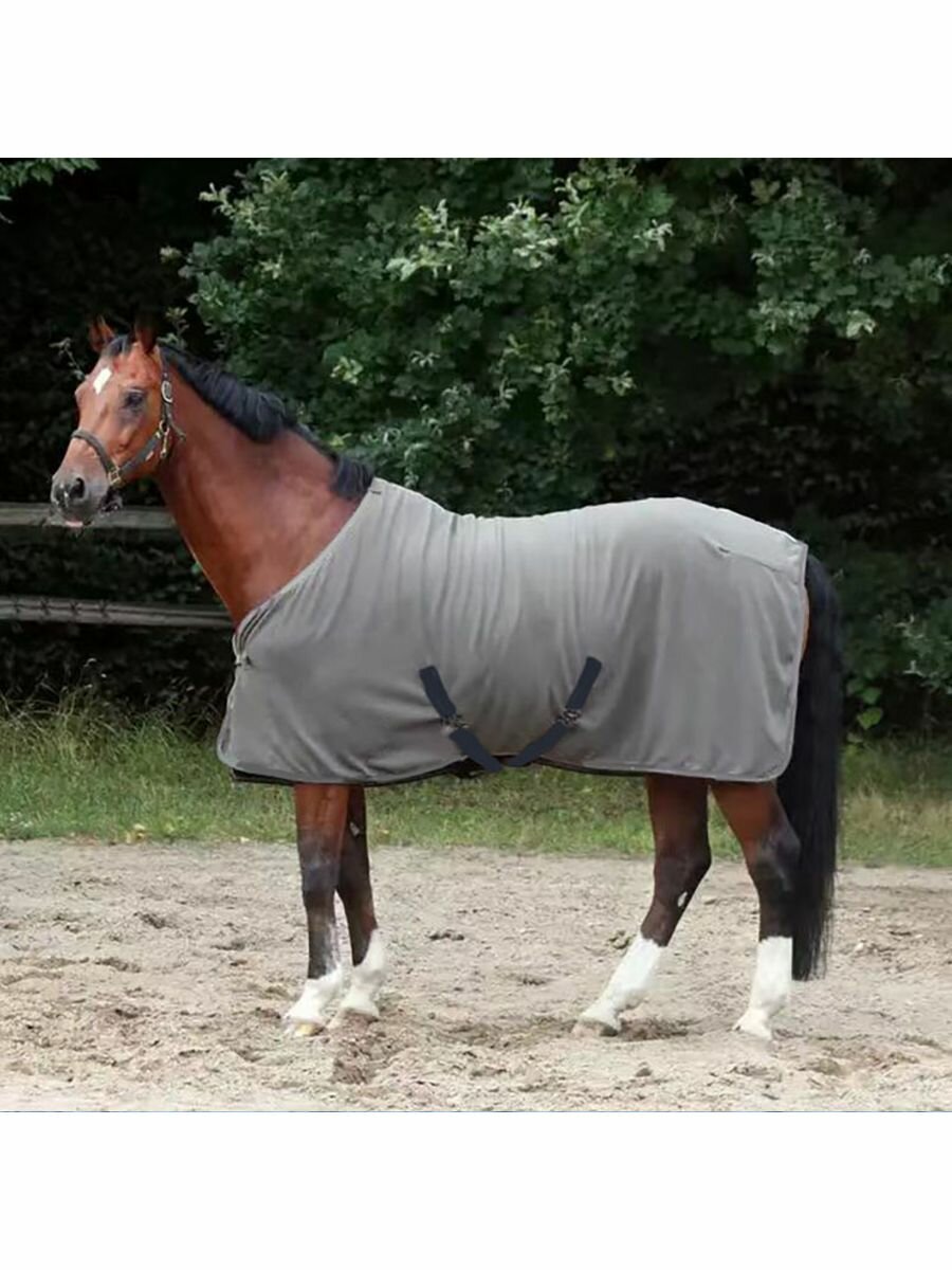 Зимняя теплая однослойная плюс бархатная теплая одежда для лошадей, принадлежности для верховой езды