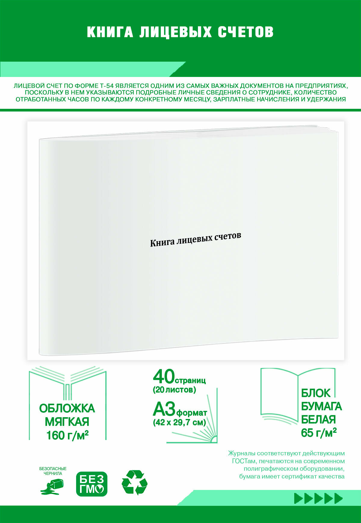 Книга лицевых счетов (формат А3) 40 страниц