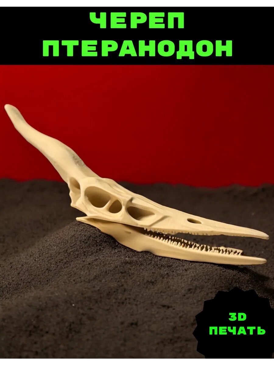 Фигурка Череп Птеранодон цвет кость 3D печать готическая динозавр