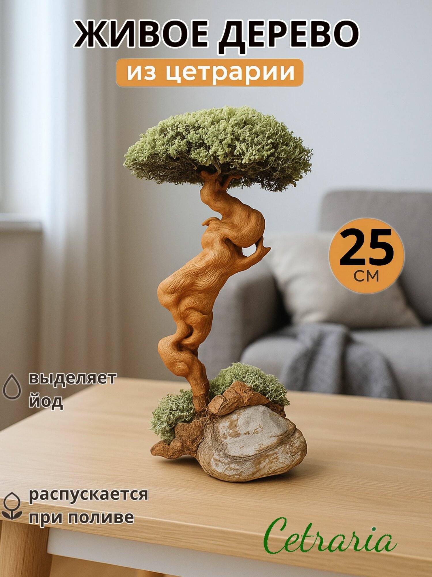 Подарочная статуэтка дерево с цетрарией