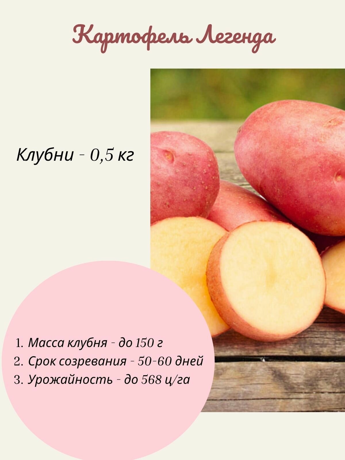 Картофель красный Легенда 0,5 кг на посадку