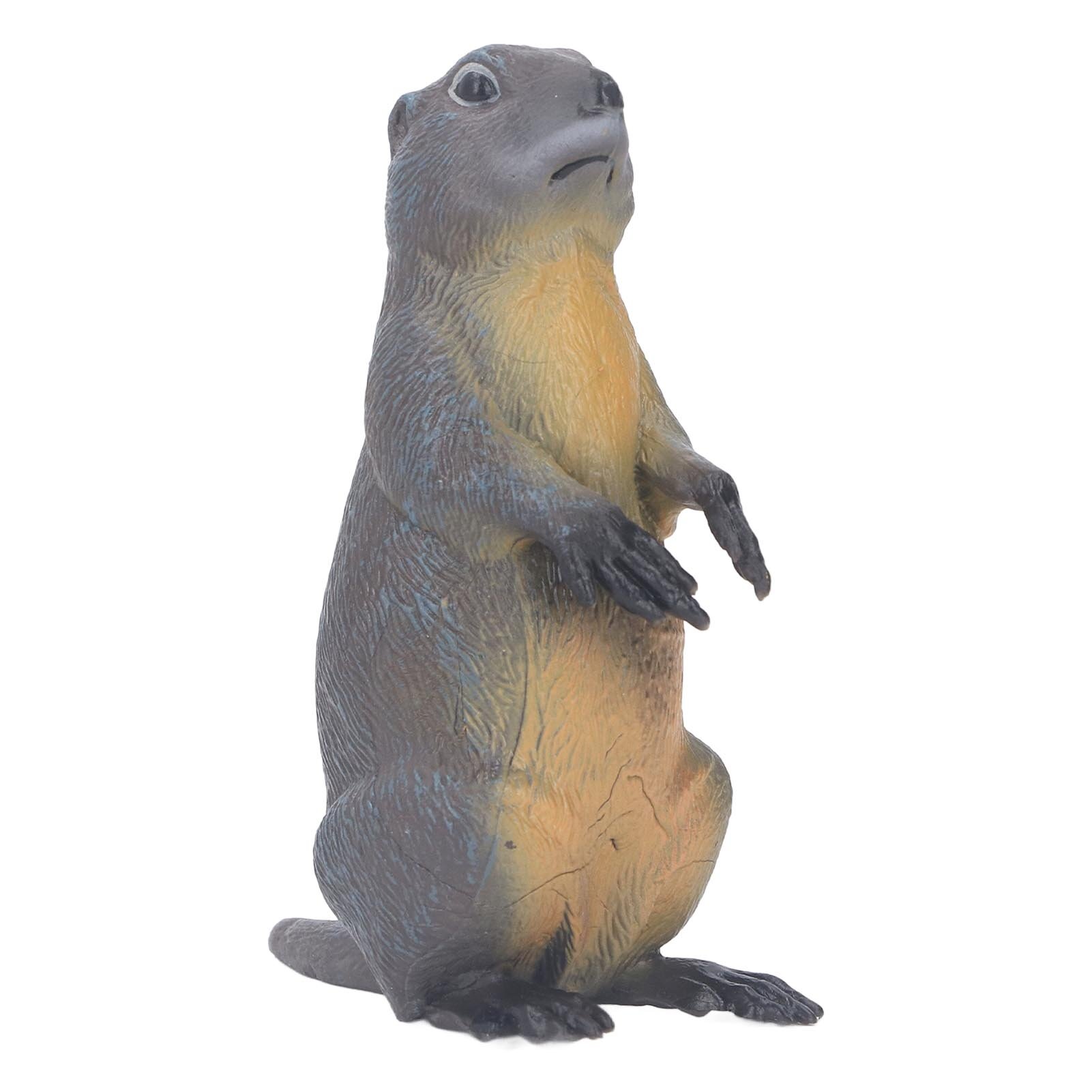 Статуэтка сурка, игрушка, дикое животное, фигурка, модель, имитация животного, пластиковая скульптура для домашнего декора, детского образования PL127‑1015