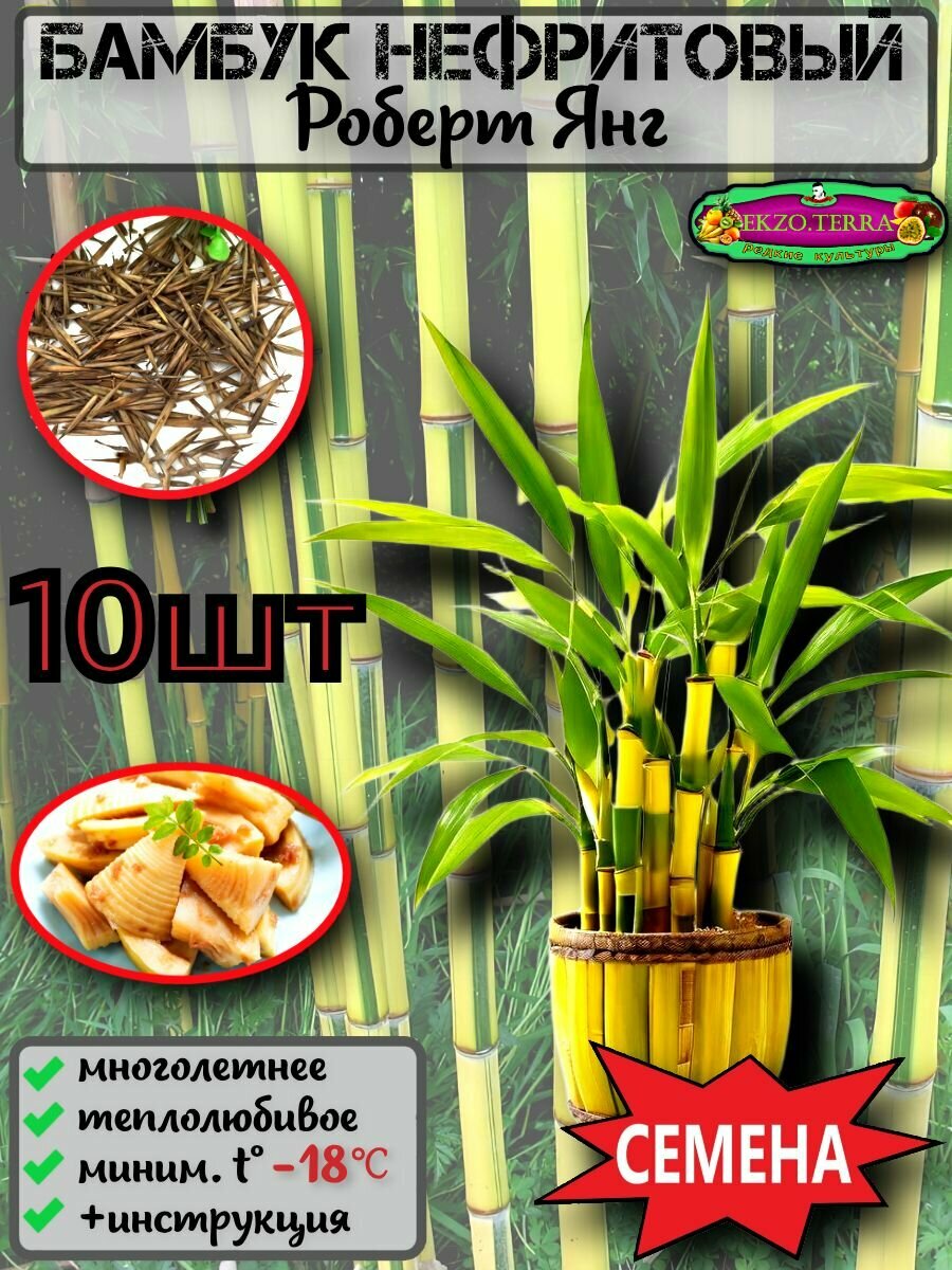 Семена Бамбук Нефритовый "Robert Young" 10 шт.