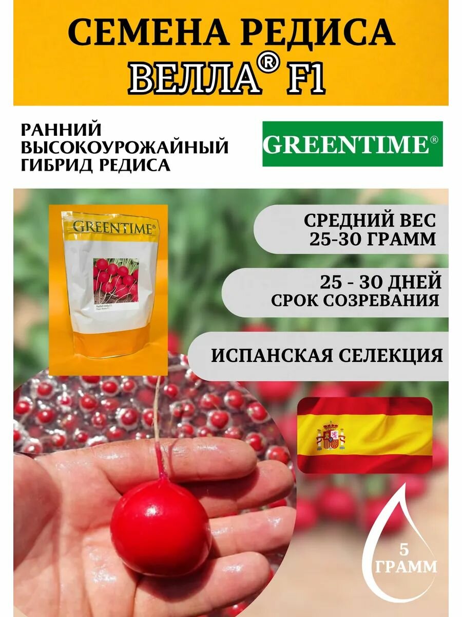 Семена редиса Велла F1 5 грамм Greentime, профессиональные семена
