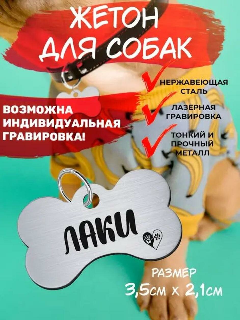 Адресник для собаки с гравировкой, нерж. сталь, серебристый, Лаки