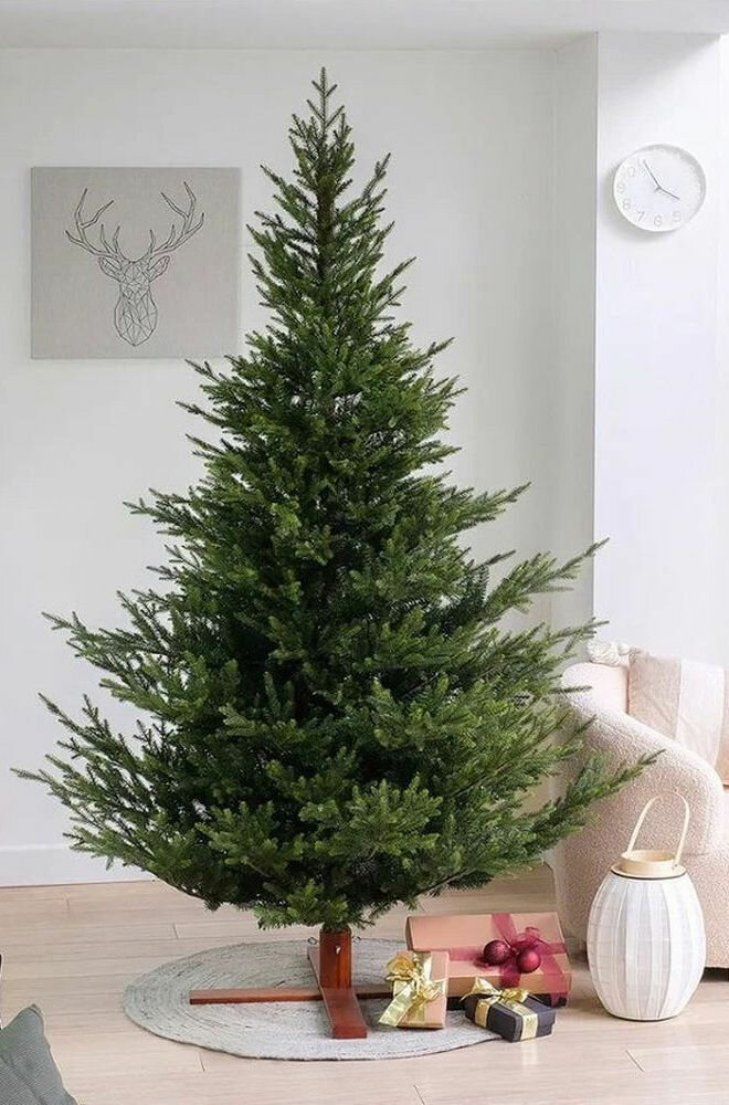 Искусственная ель саамская горная на деревянной подставке, зелёная, хвоя литая+ПВХ, 243 см, Nordic Collection 31HSMS243