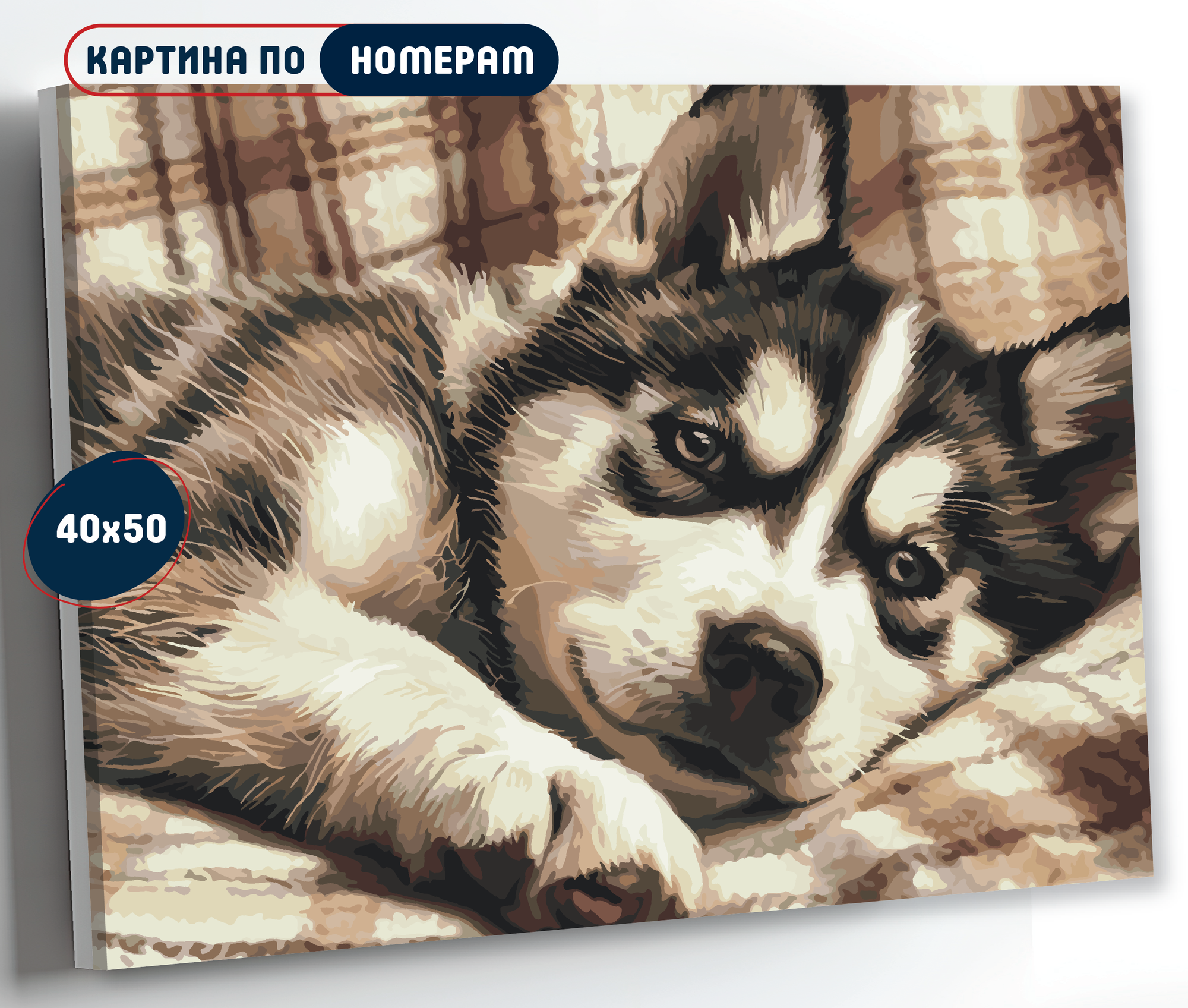 Картина по номерам "Хаски_2", Холст на подрамнике 40х50, набор для рисования