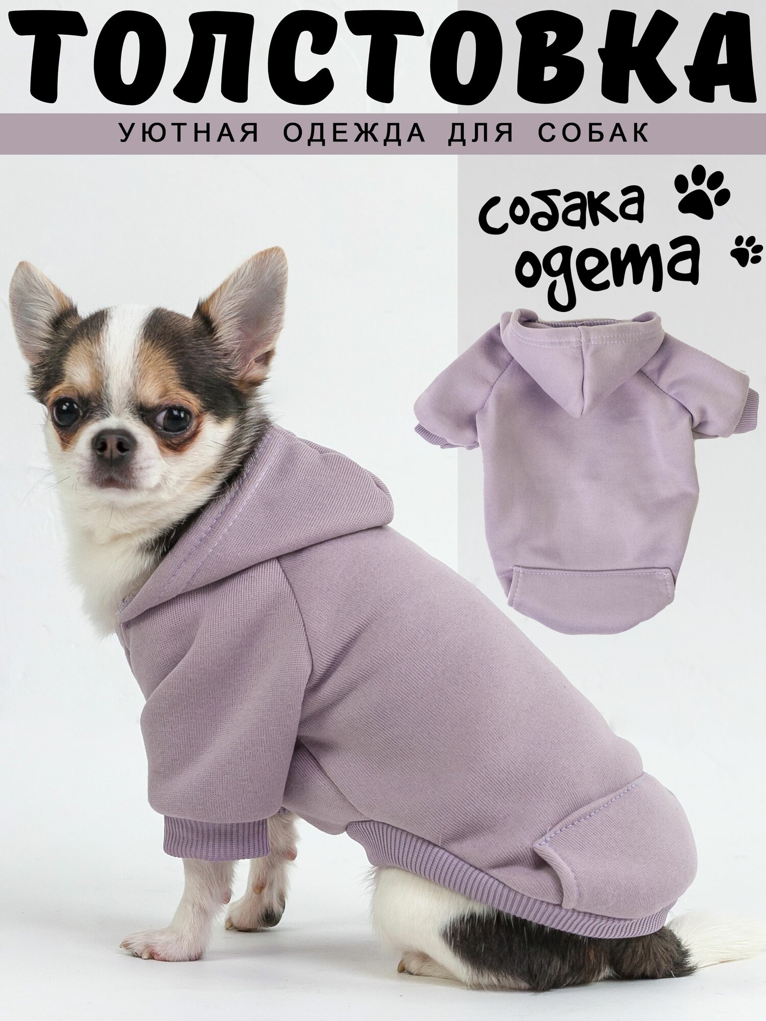 Одежда для животных