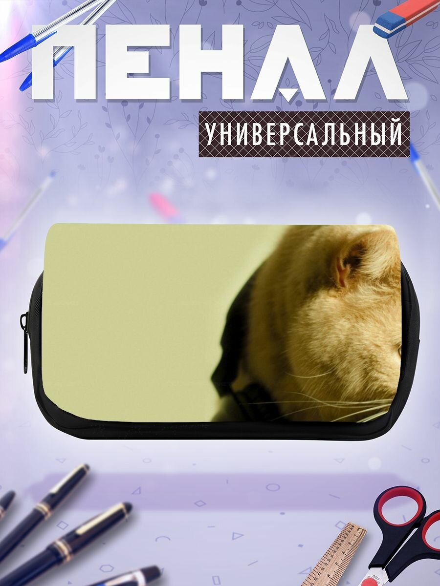 Школьный пенал морда диск жокей