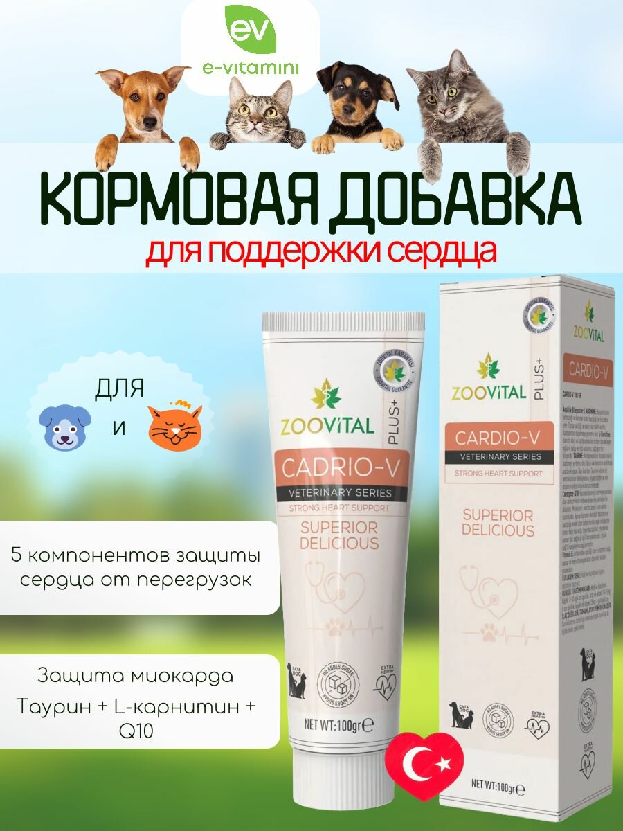 Кормовая добавка Zoovital Cardio V для кошек и собак, для поддержки сердца с таурином, L-карнитином и Q10, паста 100 г