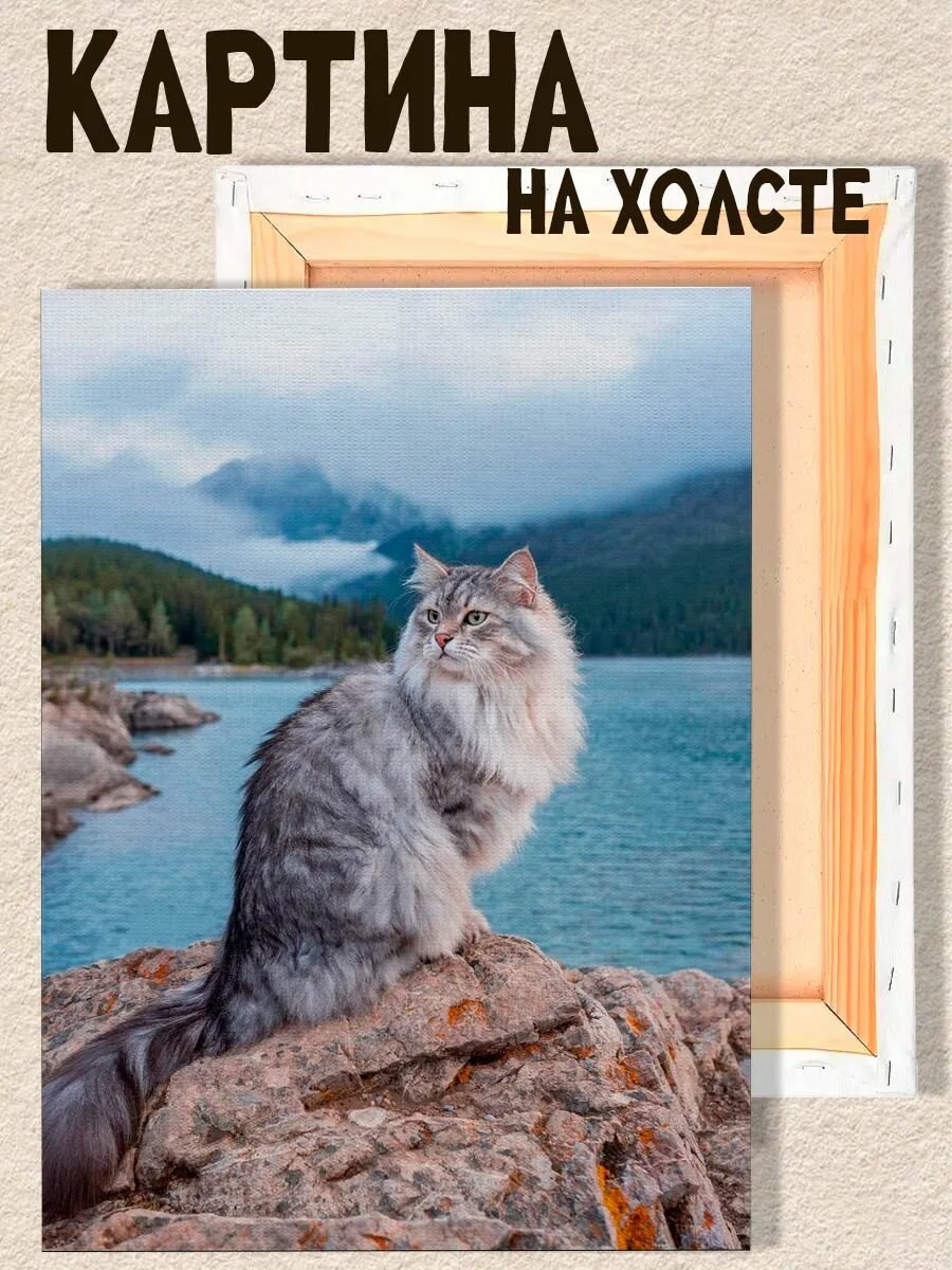 Картина на стену Милые котики, на подрамнике, 1шт, 25х17 размер.