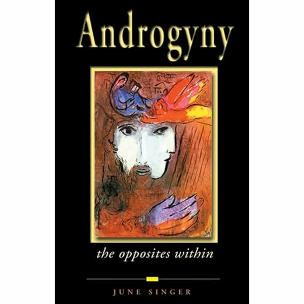 Androgyny: The Opposites Within (The Jung on the Hudson Book series)，Reprinted paperback book