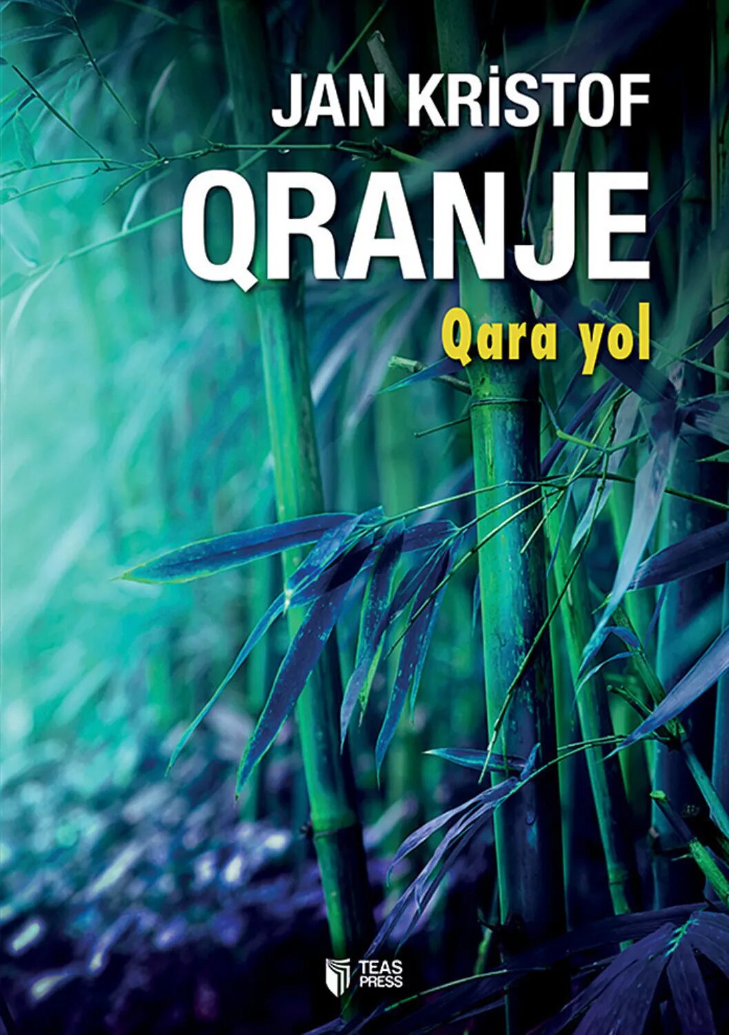 Qara yol [Цифровая книга]