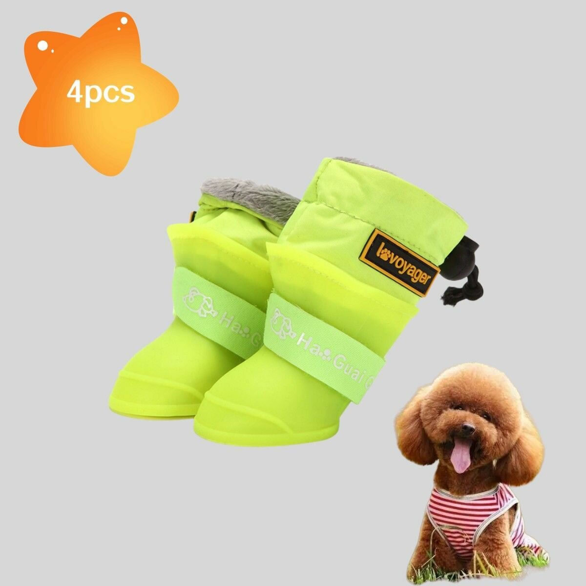 Силиконовые дождевики для собак, маленькая собачка Тедди Бишон