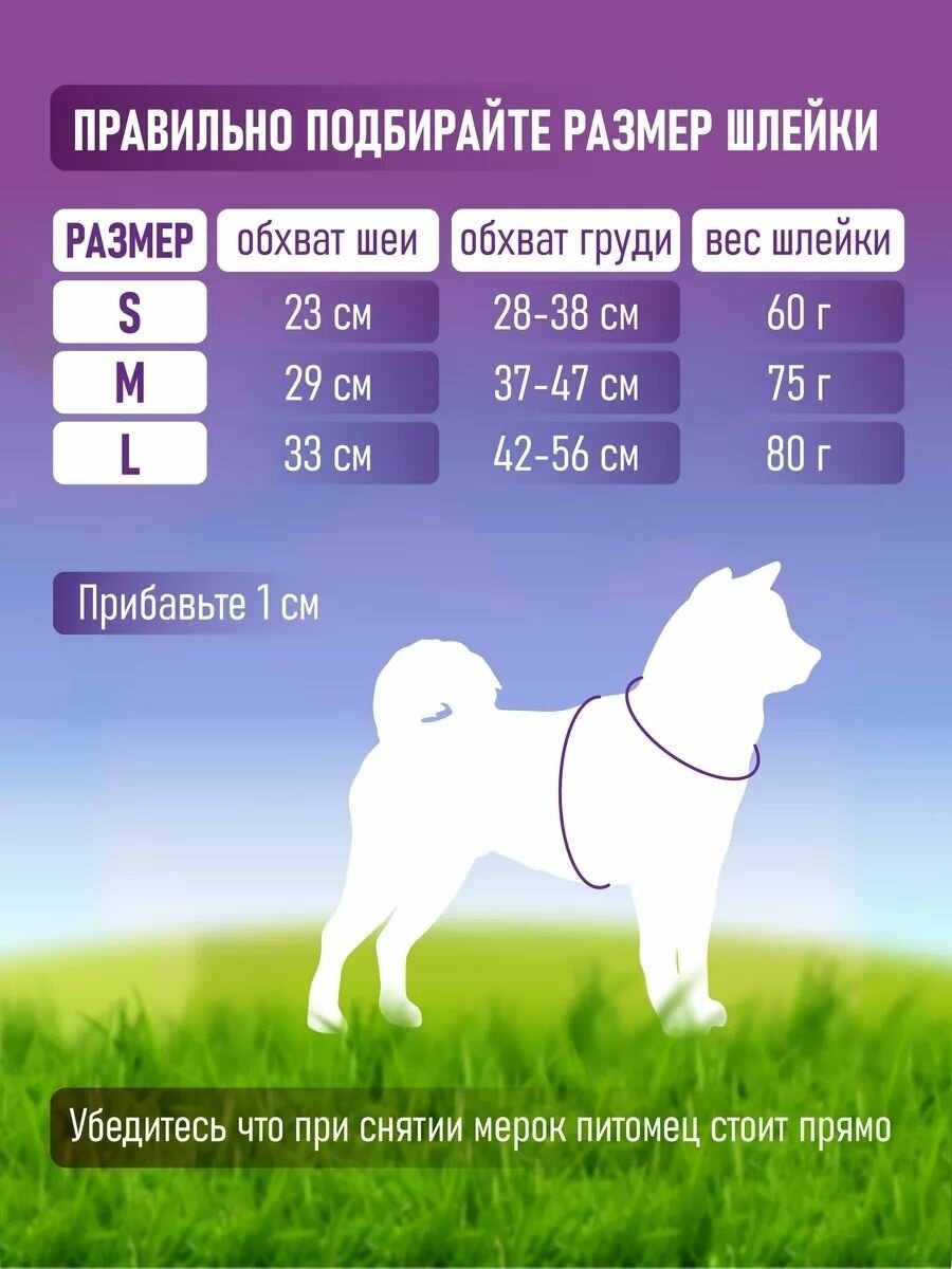 Шлейка — фото 1