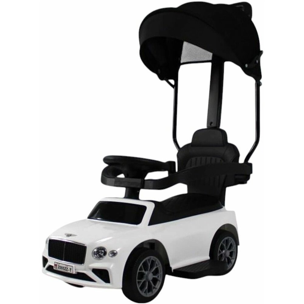 Детский толокар RiverToys (Z005ZZ-T-WHITE) белый Белый 3+