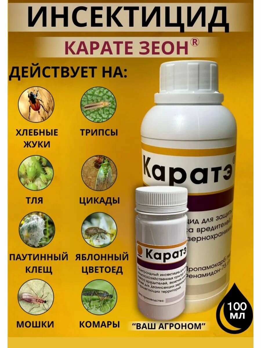 Инсектицид Каратэ Зеон от насекомых-вредителей 100 мл