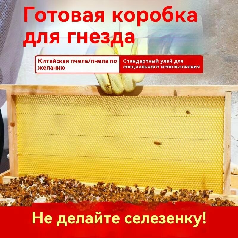 Готовый каркас гнезда, соты, полный набор пчеловодческих артефактов в рамкеСредняя пчела