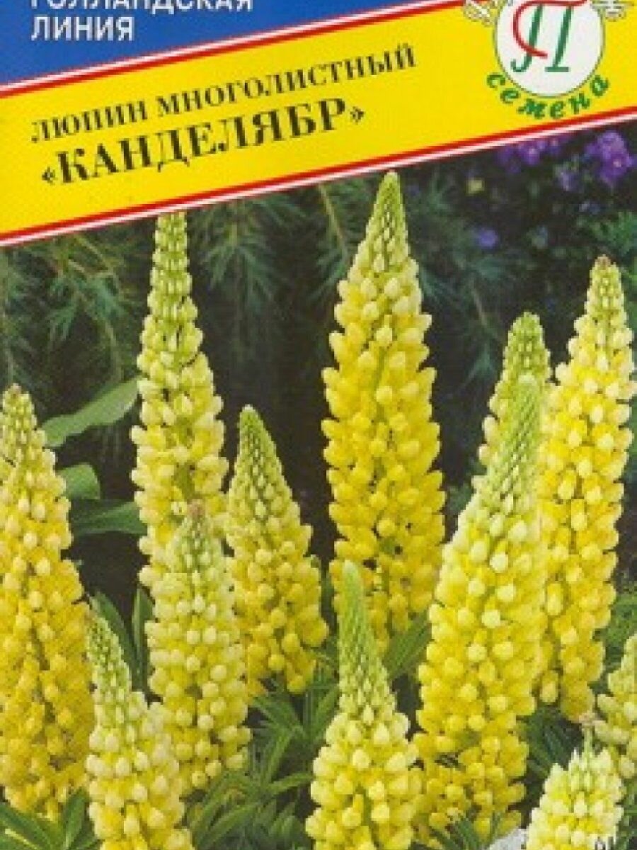 Люпин Канделябр 15 шт, Семена Престиж
