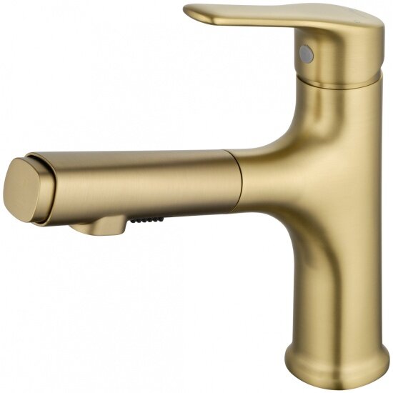 Смеситель для раковины Wonzon & Woghand с выдвижным изливом , Брашированное золото (WW-AE4151-BG)