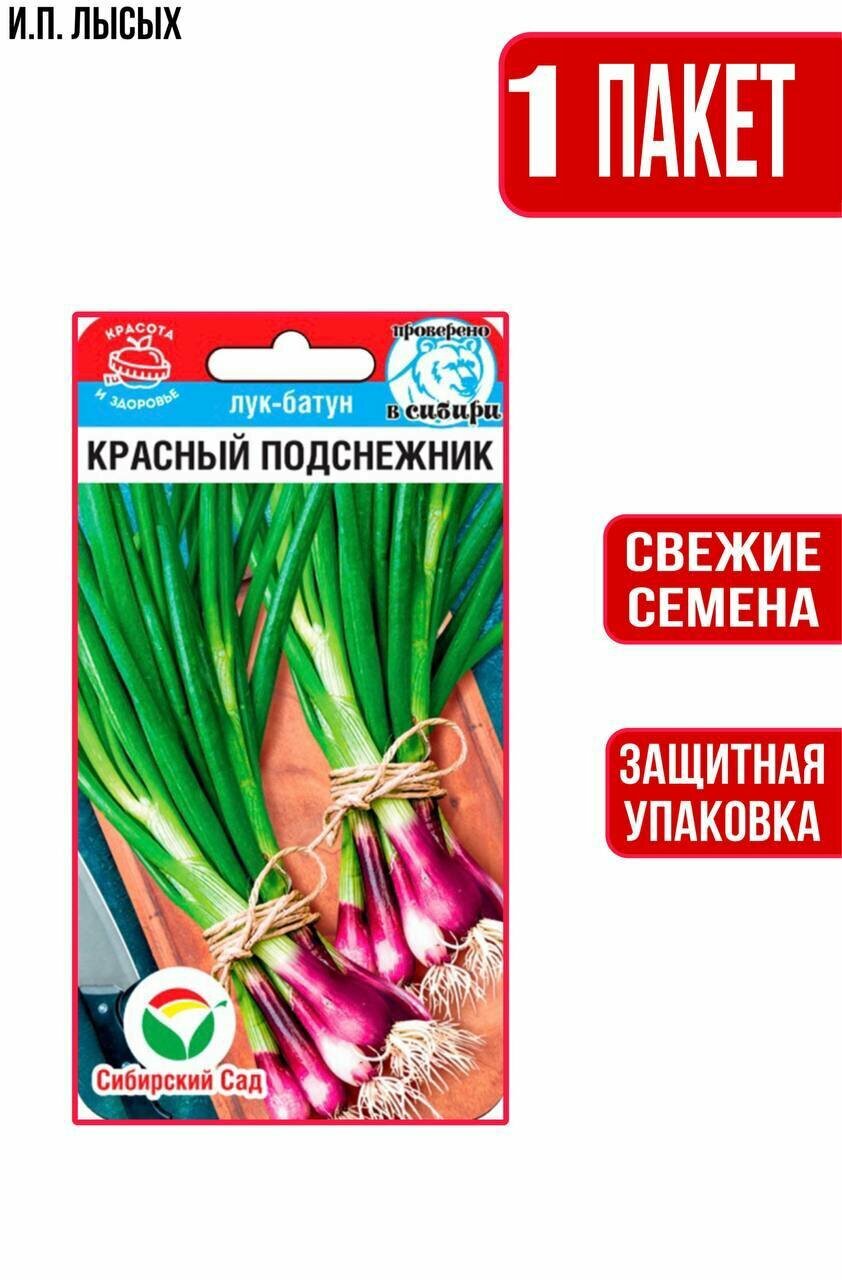 Семена Лук "Красный Подснежник"