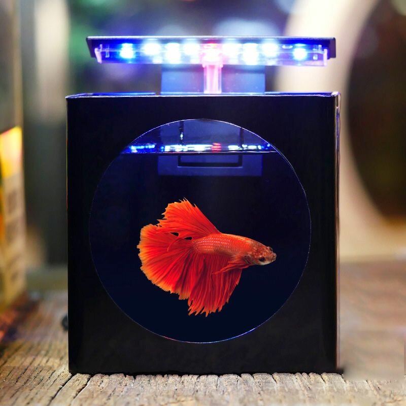 Аквариум Для Петушка